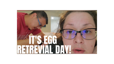 YouTube: Time to retrieve these eggs, it’s egg retrieval day ...